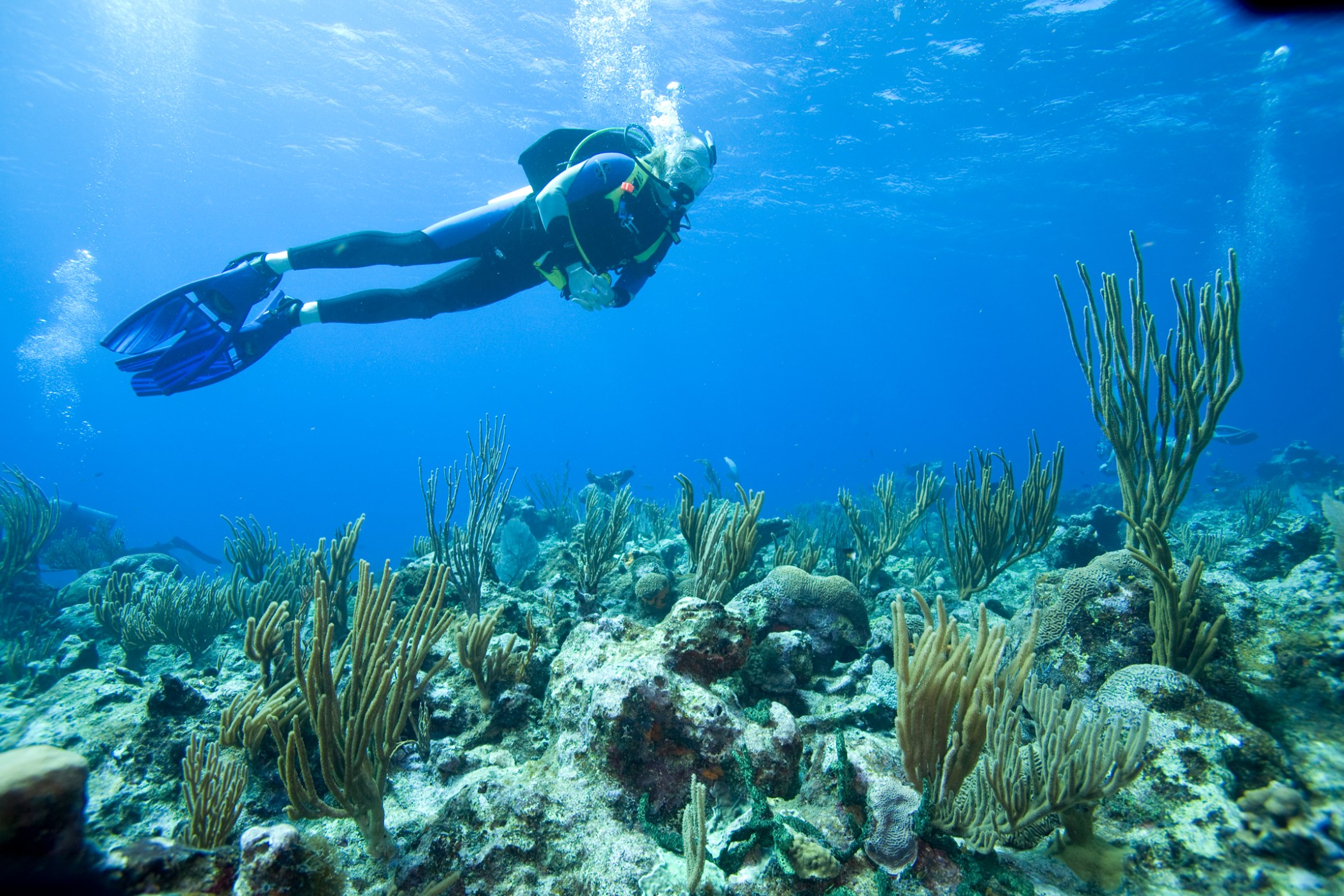 Miami Scuba Diving Trips & Tours | Squalo Divers